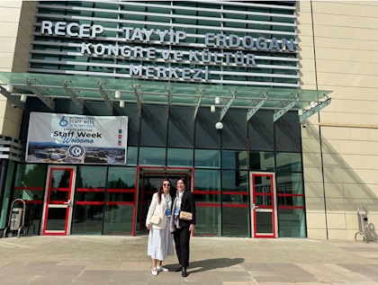 International educational projects